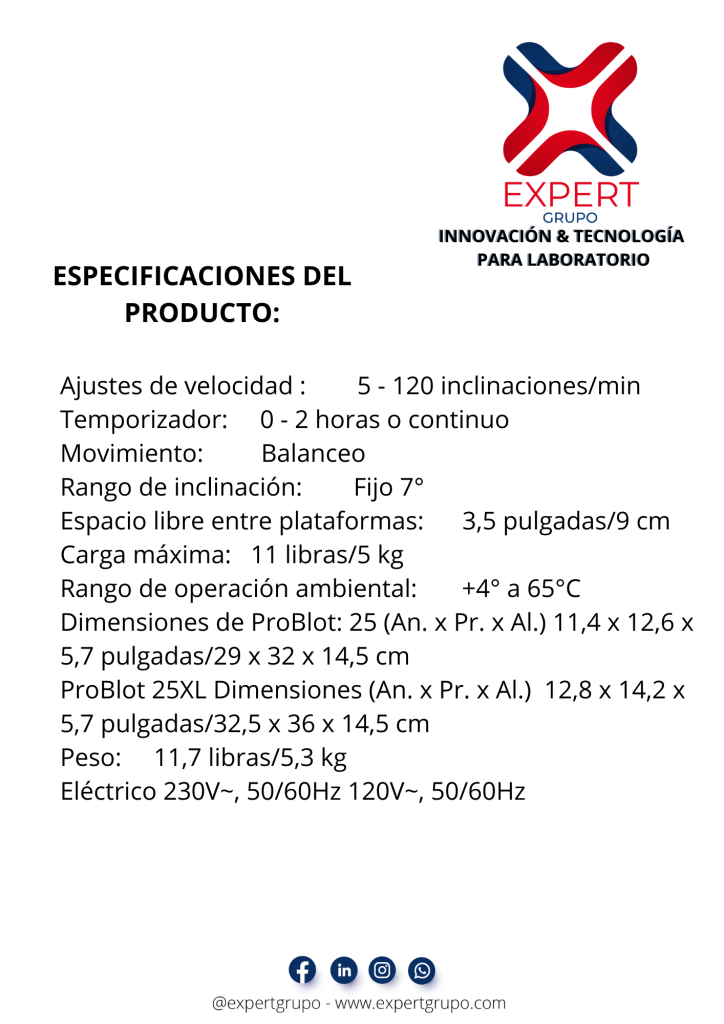 S2025-D-B - Labnet - Expert Grupo